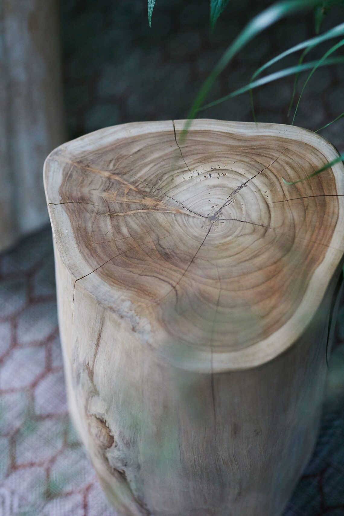 Teak Root Stool - handmadezz.com